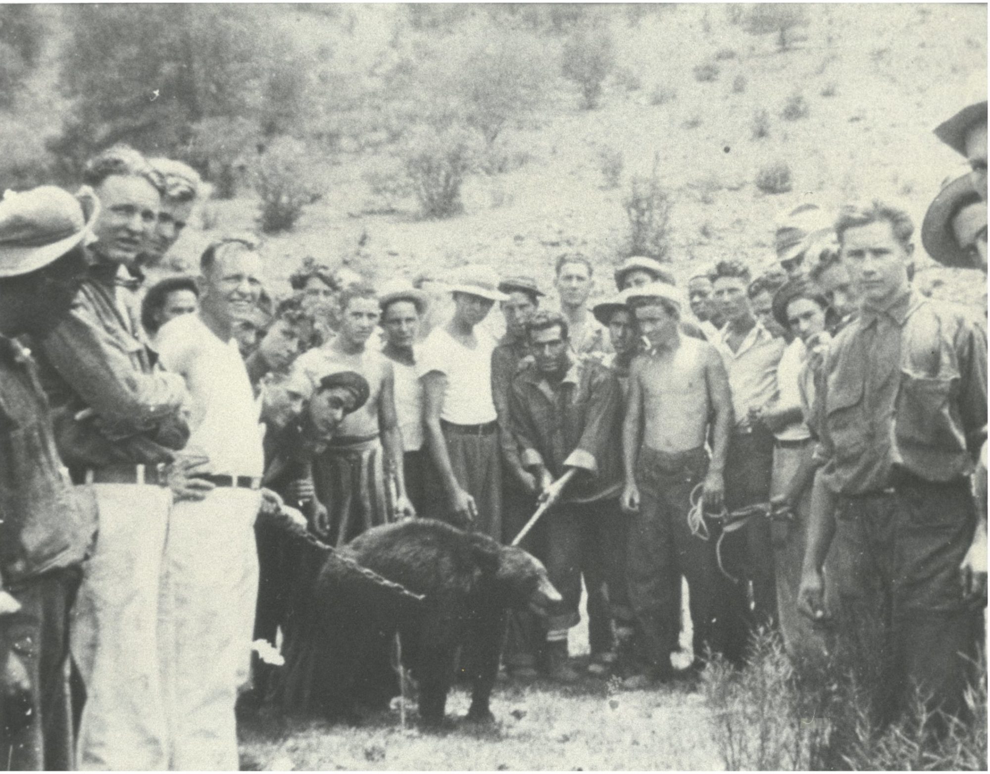 West Texas Black Bears – 1930s – Wild Texas History