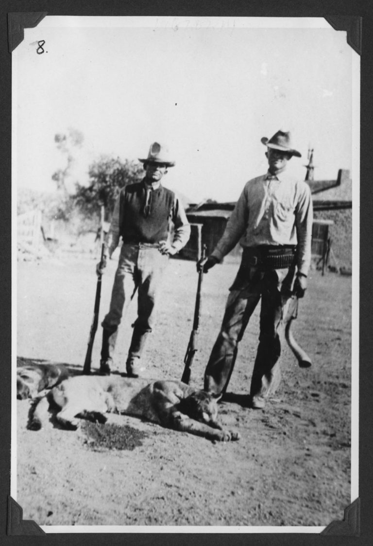 West Texas Mountain Lion Hunting – 1900-60 – Wild Texas History